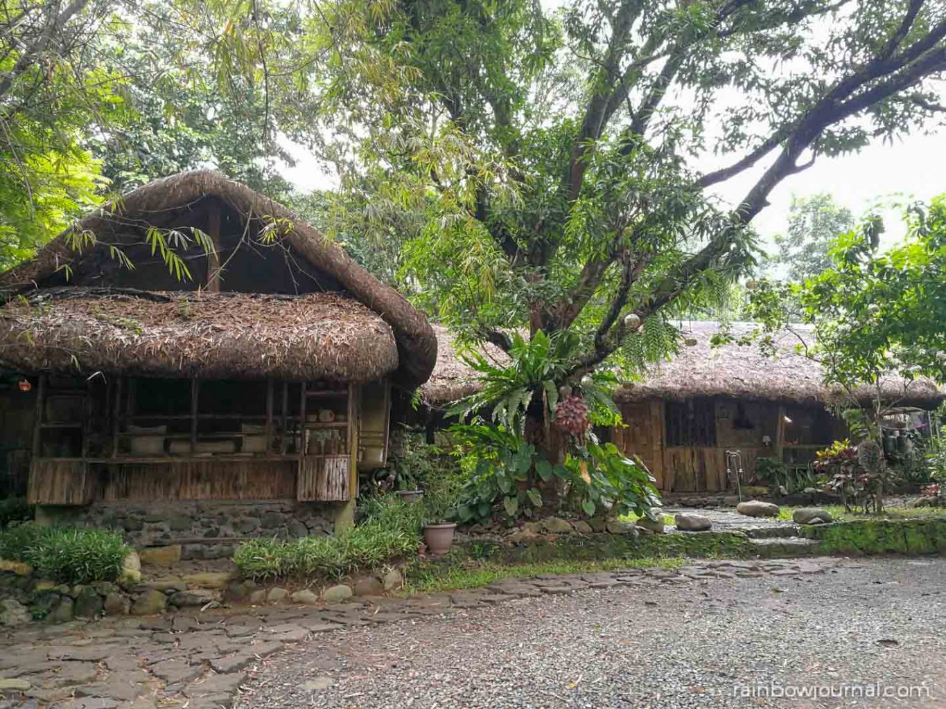 Mount Purro Nature Reserve: Mountain Getaway Near Metro Manila ...